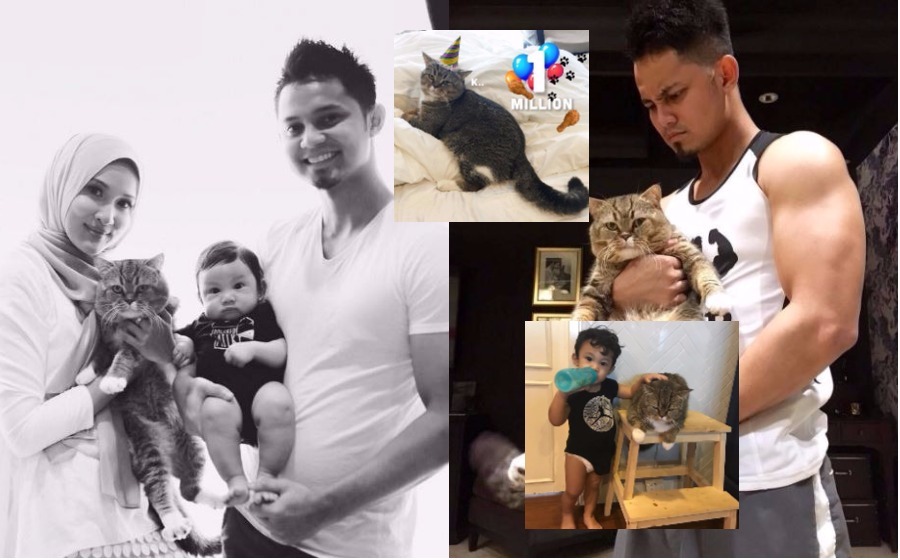 Akaun IG Kucing Hanis & Hairul, Bujibu Chempel Cecah 1 Juta | Gempak