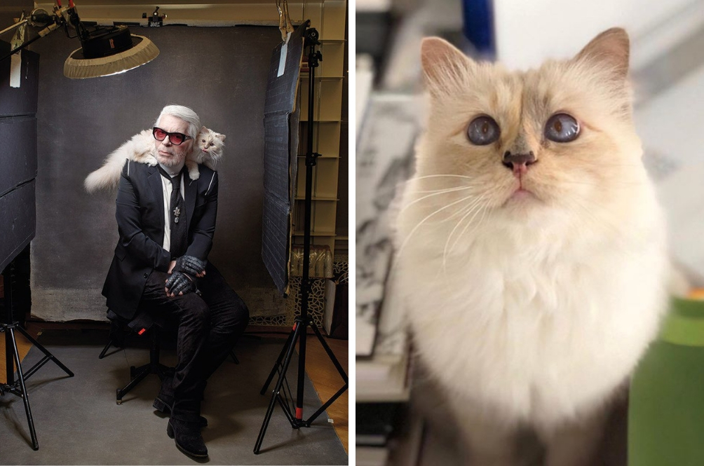 Karl Lagerfeld’s Beloved Cat, Choupette, May Inherit RM796 MILLION From ...