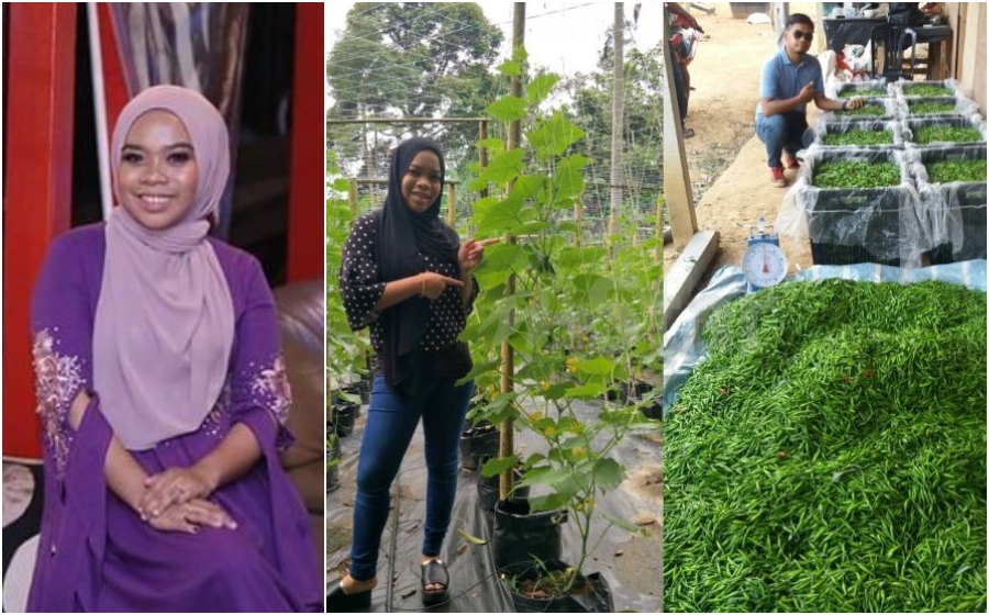 “Ya Saya Masih Berniaga Cili Di Pasar Tani, Buat Apa Nak Malu?” – Ayu ...