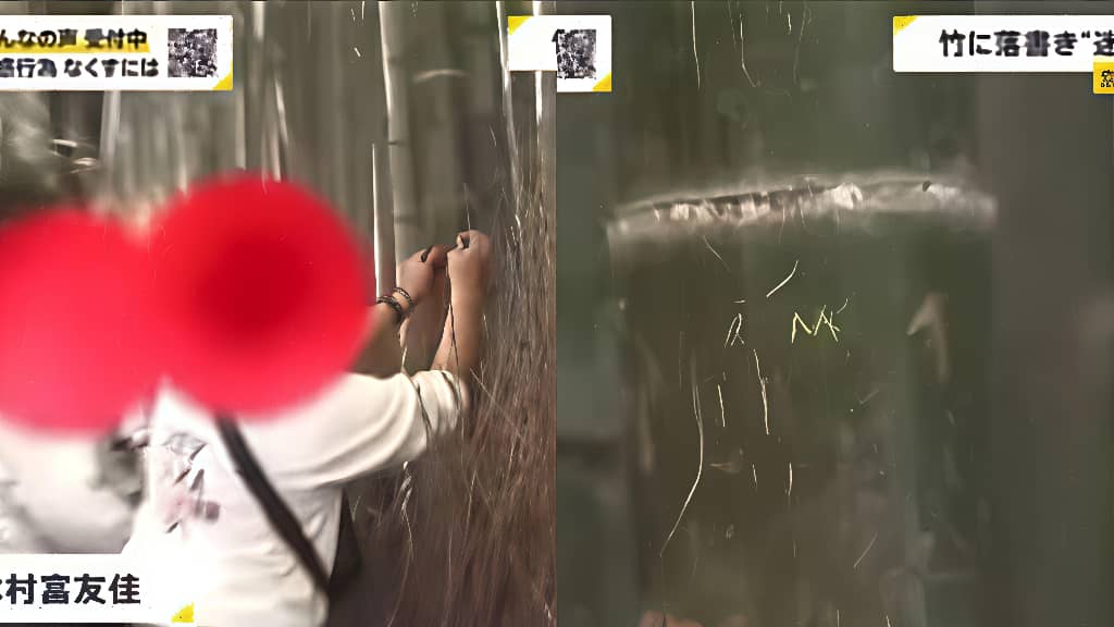 M'sian Tourists Caught Vandalising Kyoto’s Famous Bamboo Forest