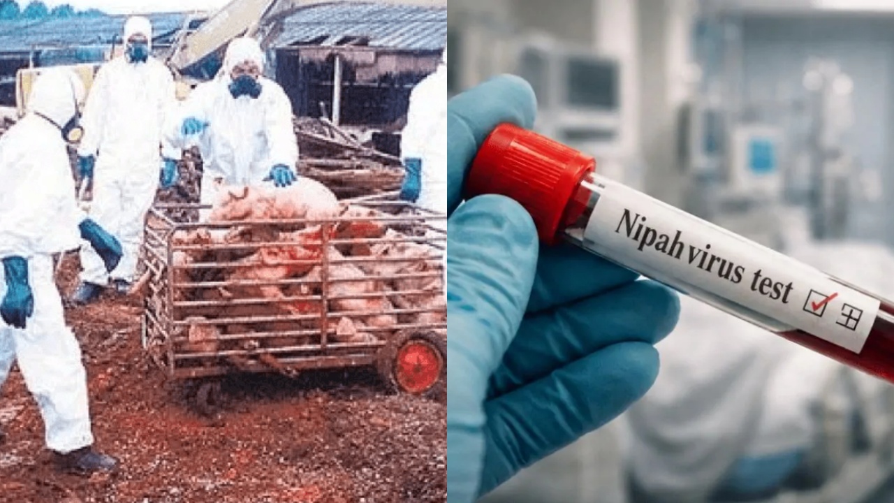 Everything You Need to Know About the Nipah Virus That Has Infected ...