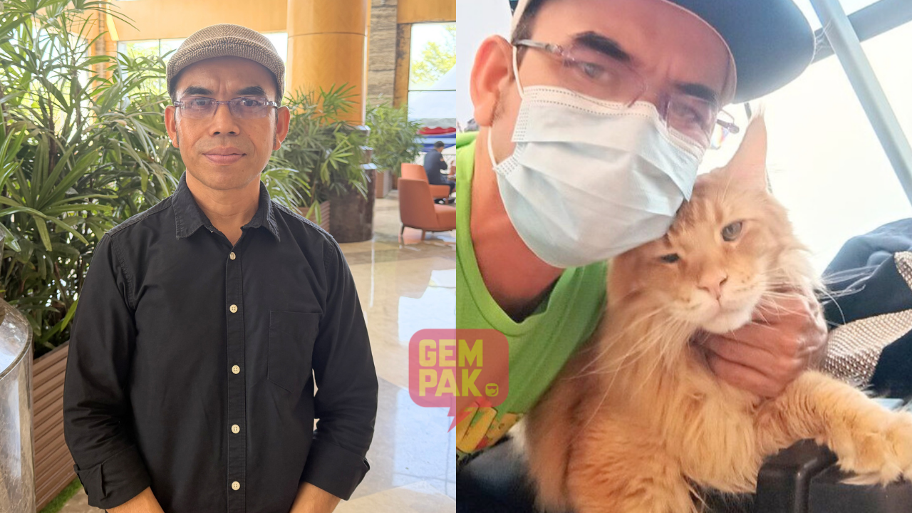 Balik Raya, Kucing Nak Tinggal Mana Kalau Cat Hotel Dah Penuh? Ini Tip ...