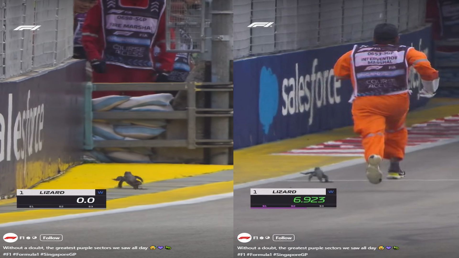 F1 GP Singapura: Sesi latihan tergendala, biawak masuk litar Marina Bay ...