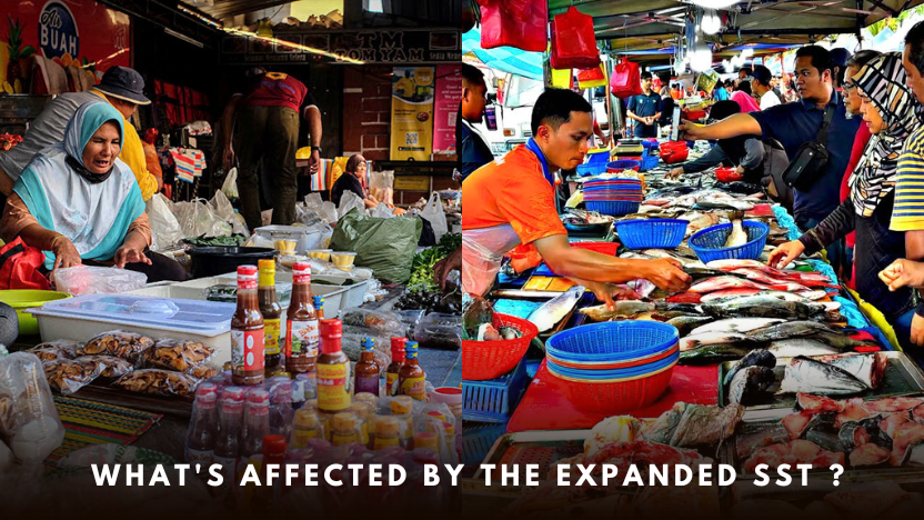 SST Expansion Kicks Off: What’s In, What’s Out-Here’s What You Need to ...