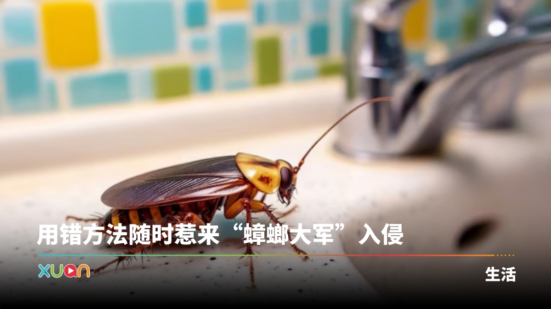 知多点 | 活蟑螂、死蟑螂都不要丢进马桶！教你 1 招彻底灭掉蟑螂窝 | XUAN